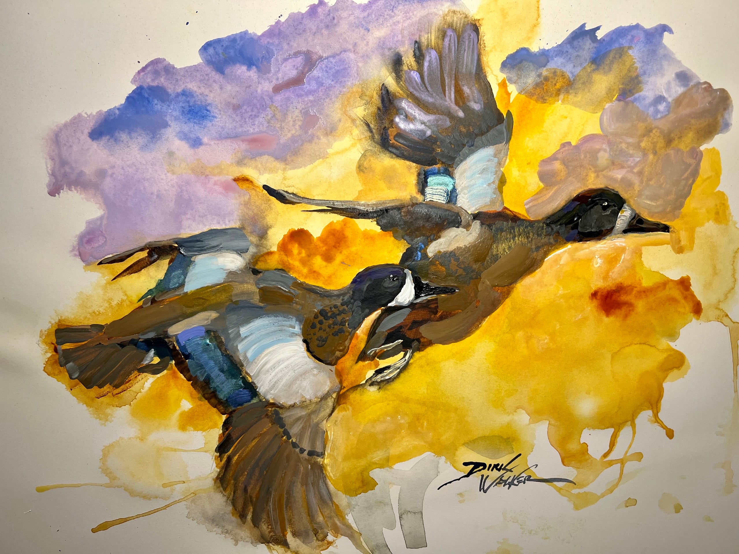 HS205 Collectors Closed Edition Print - Blue Wing Teals | Dirk Walker ...