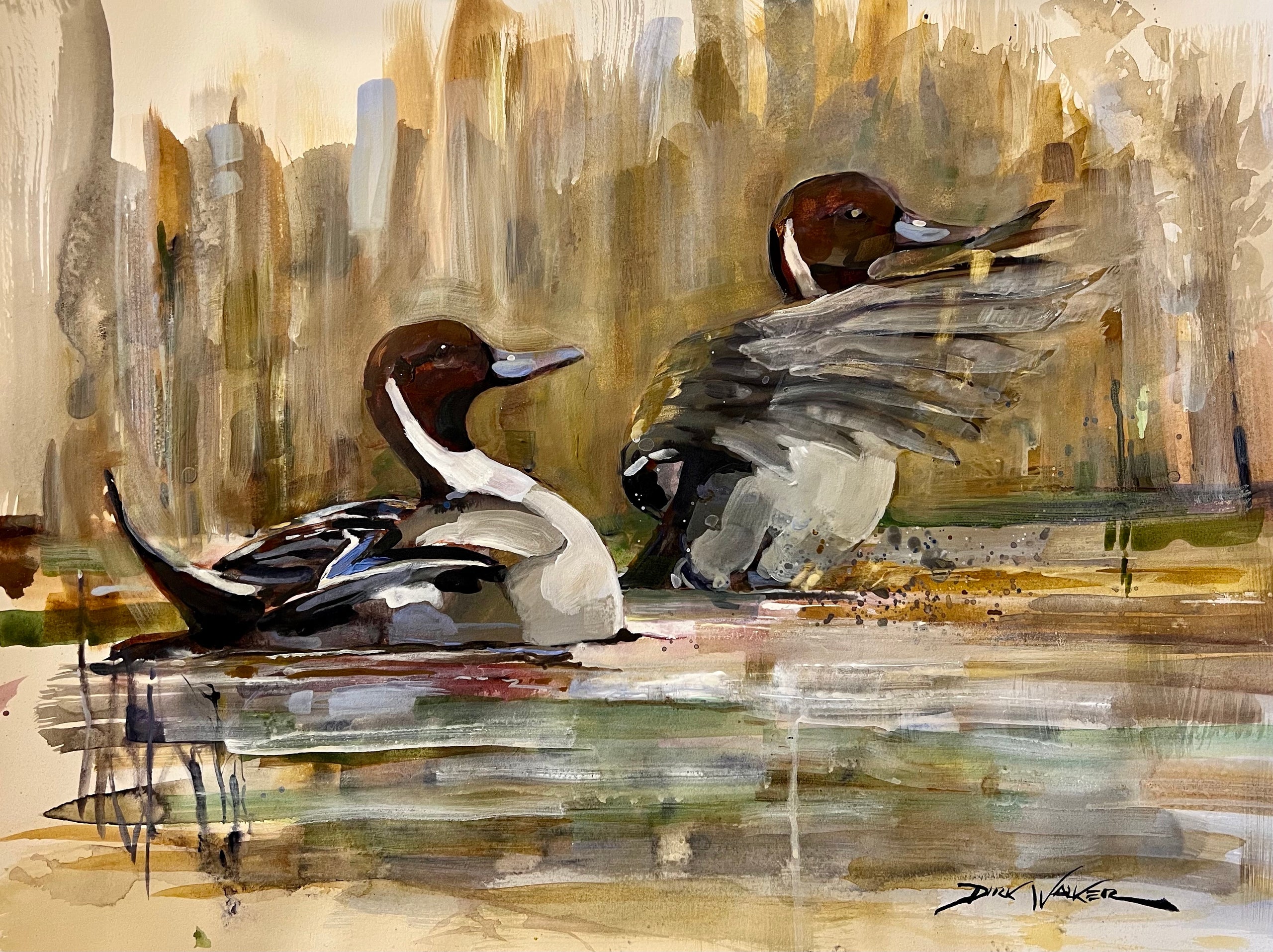 Pintails | Dirk Walker Fine Art