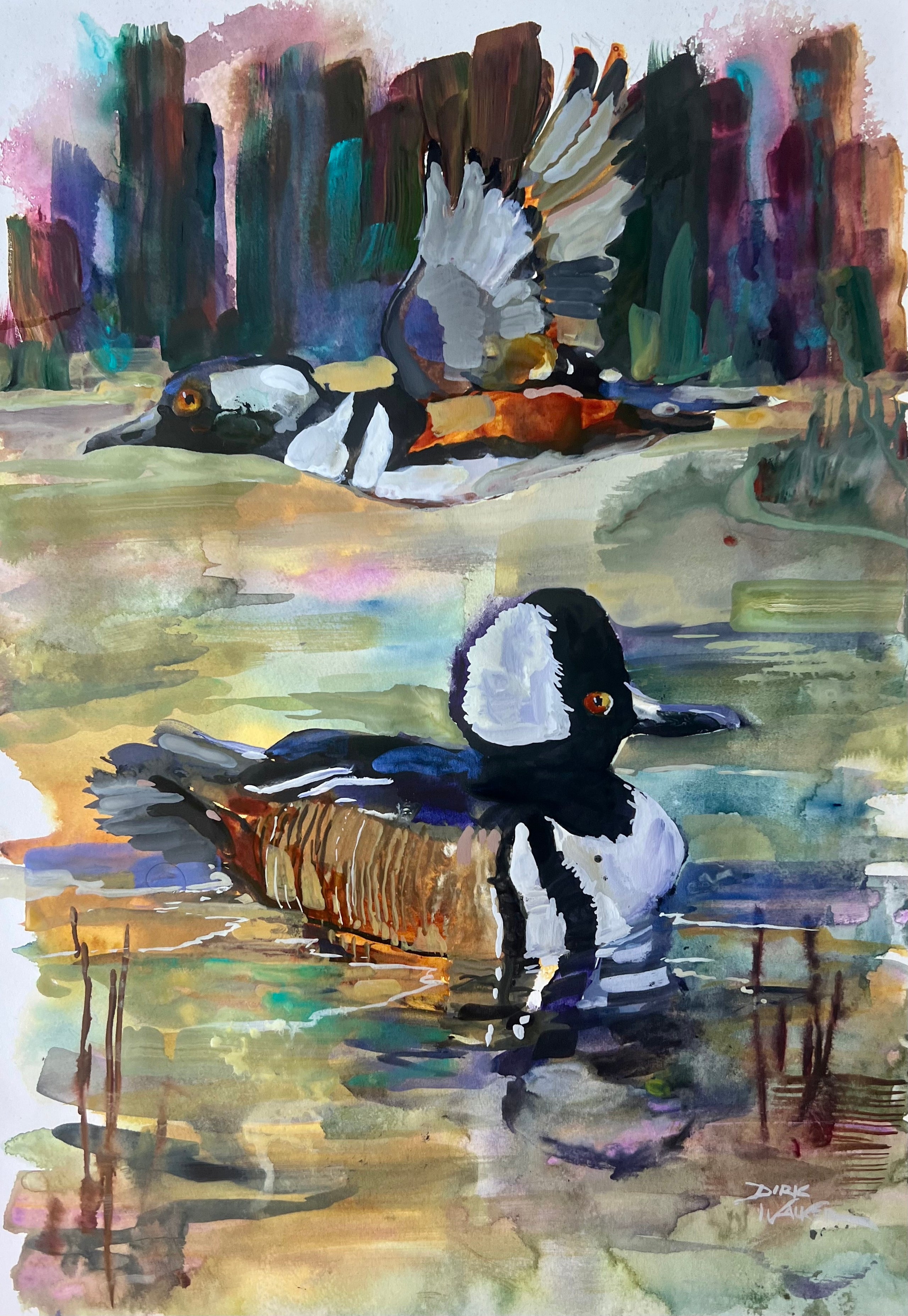 A pair of Hooded Mergansers | Dirk Walker Fine Art