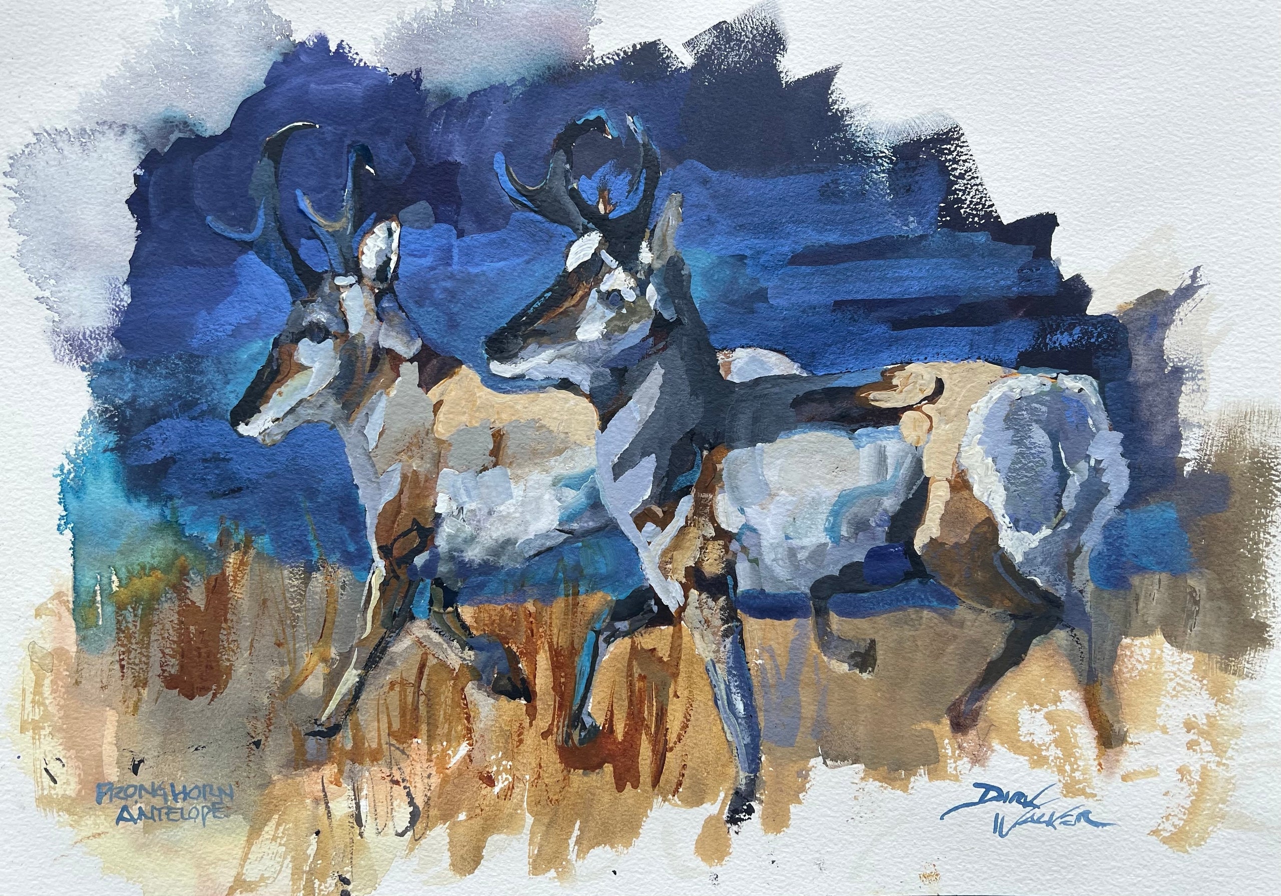 Pronghorn Antelope | Dirk Walker Fine Art
