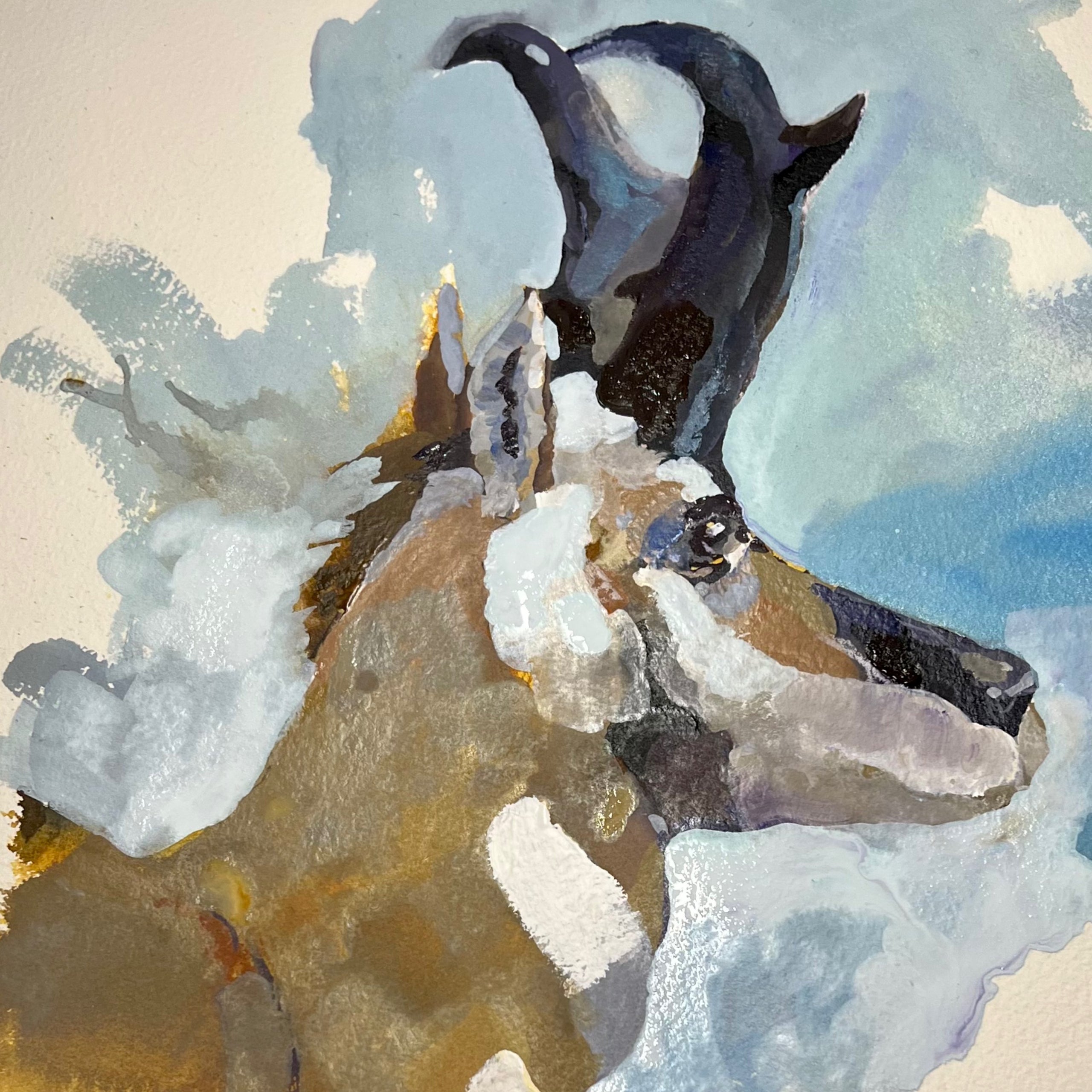 King of the prairie- Pronghorn Antelope | Dirk Walker Fine Art