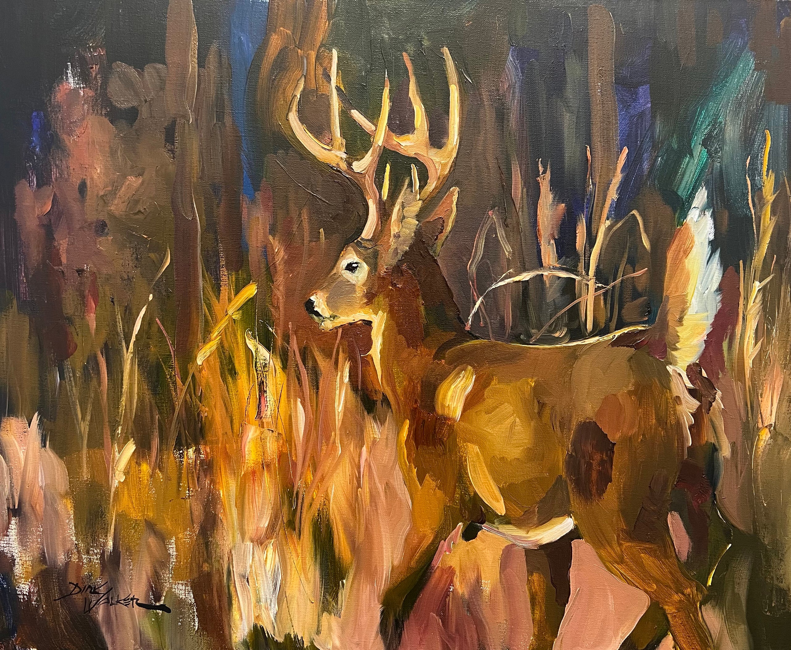 HS965 Collectors Closed Edition Print - Startled Buck | Dirk Walker ...