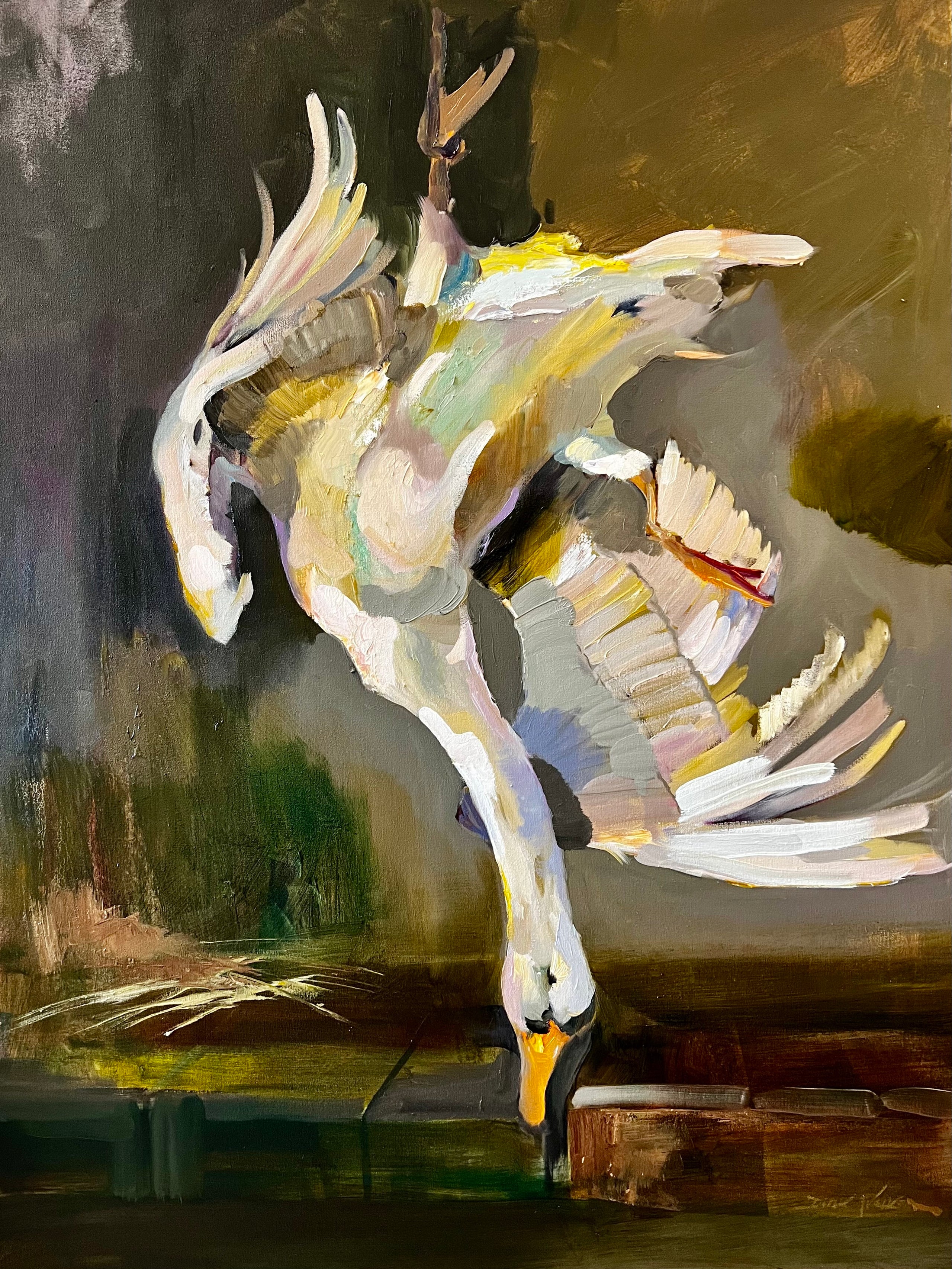 Swan | Dirk Walker Fine Art