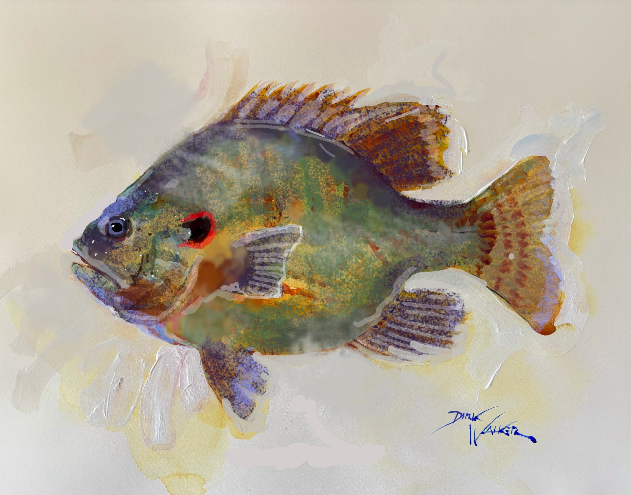 HS546 Collectors Closed Edition Print - Redear Sunfish (Shellcracker ...