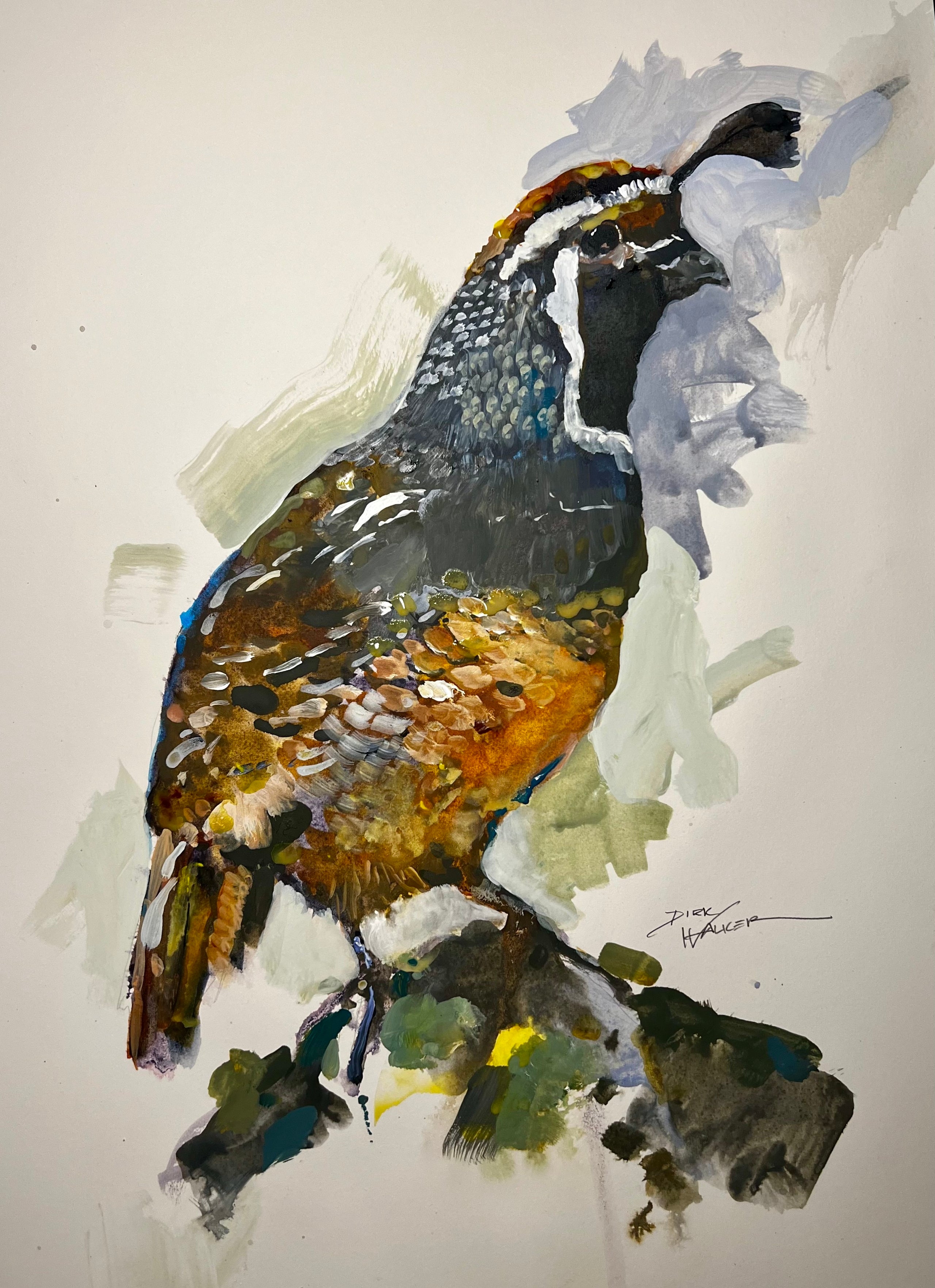 California Quail | Dirk Walker Fine Art